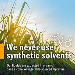 Herb Pharm Certified Organic Shepherd's Purse Liquid Extract, 1 Oz