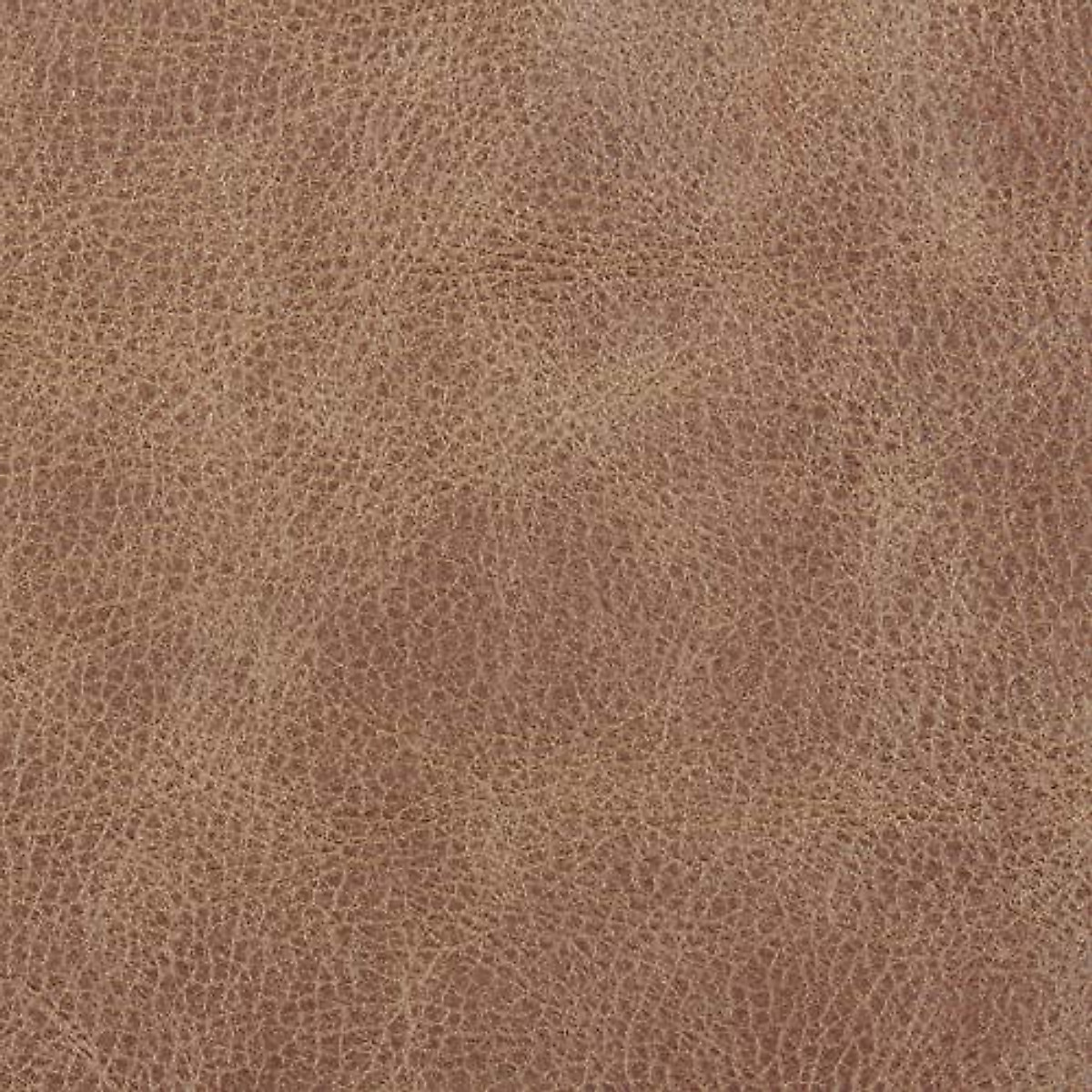 Amazon Brand – Stone & Beam Rosewood Button-Tufted Leather Wingback Accent Chair, 30"W, Cognac