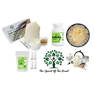 1 SET Milk Kefir Grains Set Starter Culture, Fresh Live Active Probiotic Start your own Kefir Culture at Home, Bulgaros de Leche, Pajaritos, Homemade Kefir Milk