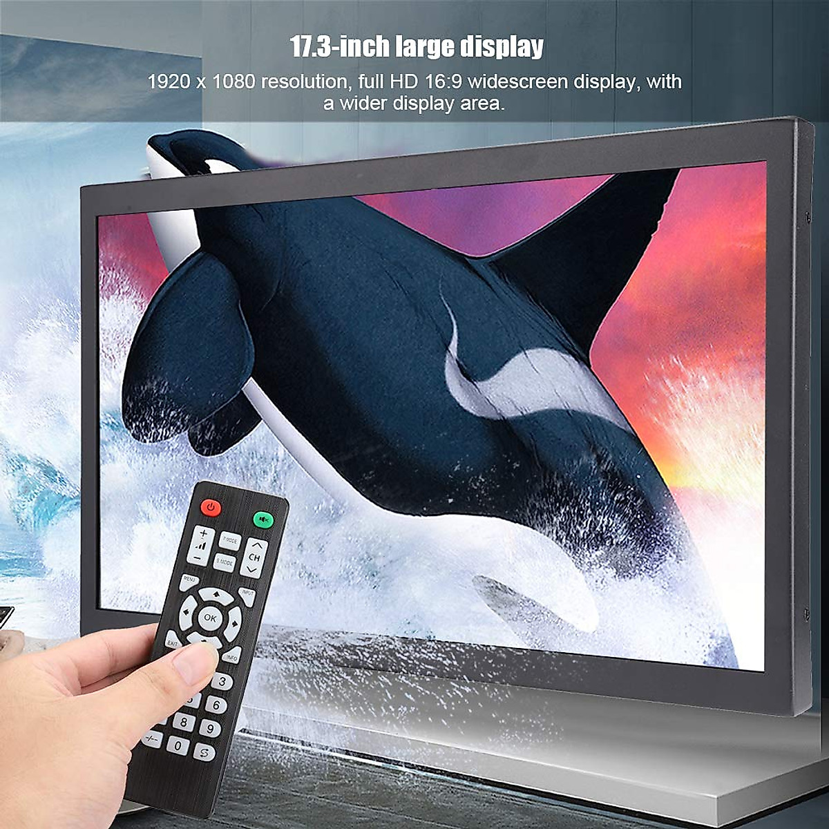 Bewinner 17.3 Inch 1080P Portable Monitor for PC CCTV Camera, Metal Shell Display Screen with HDMI/VGA/AV/BNC/USB Input Port, 1920×1080P Multifunctional Wall Mount Display for Surveillance