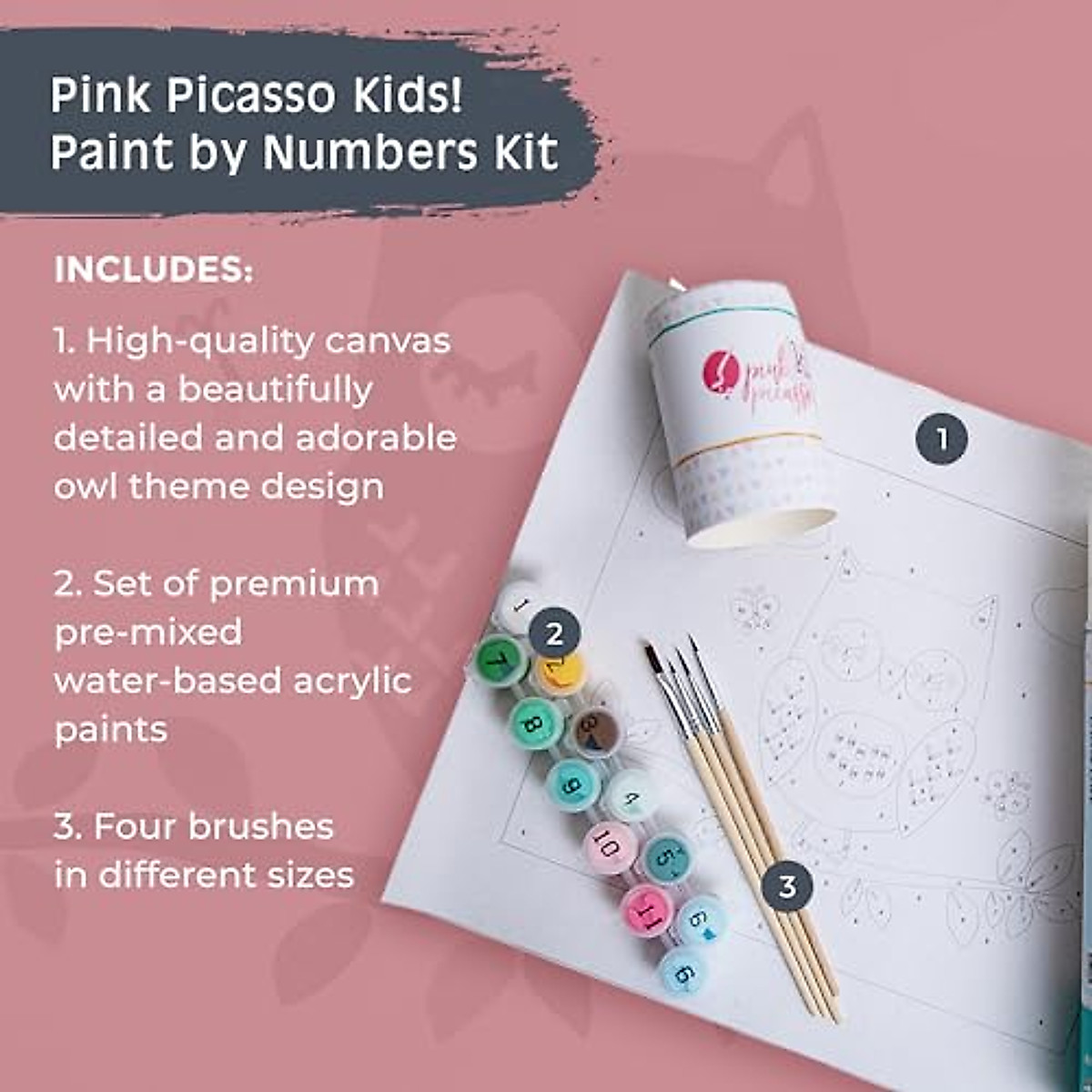 Pink Picasso Kits Paint by Number for Kids Ages 5-12 | DIY 8x10 Beginners Kids Paint Set Color by Numbers Canvas Painting Kits | As Seen On Shark Tank & Oprah's Favorite Thing (Olivia Owl)
