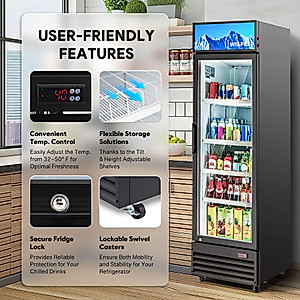 Wilprep One Door Commercial Refrigerator, 12.8 cu. ft. Swing Door Merchandiser Refrigerator with Tempered Glass & LED Lighting, ETL Listed Fog Free Beverage Display Refrigerator for Office Bar Store