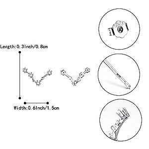 BriLove 925 Sterling Silver Ear Crawler Post Earrings Pisces 12 Zodiac Constellation Horoscope Astrology CZ Stud Earrings Gift for Women Valentines Day/Anniversary/Mothers Day/Birthday