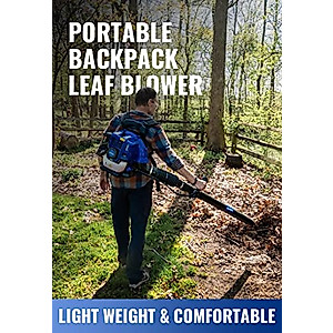 WILD BADGER POWER Leaf Blower Backpack,43cc Gas Powered Cordless 2-Cycle Engine for Lawn Care, 650CFM 152MPH Strong Air Flow for Leaf, Sand, Gravel and Snow,Light Weight 17.4 lbs