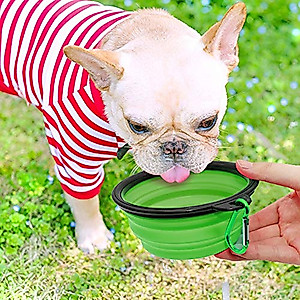 Dog Bowl, 2 Pack Collapsible Water Bowls for Cats, Portable Pet Feeding Watering Dish for Walking Parking Traveling with 2 Carabiners (Small, Blue+Green)