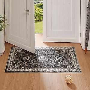 Floralux Washable Rug 3X5, Small Carpets for Bedroom (Dark Grey, 3x5Ft.)