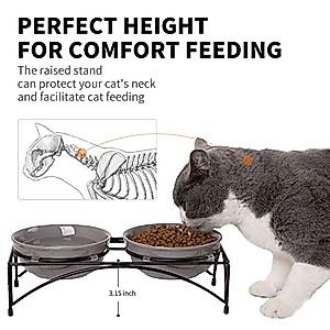FOREYY Elevated Cat Bowls with 2 Ceramic Bowls and 2 Stainless Steel Bowls,Raised Cat Food Water Bowl with Iron Stand,Porcelain Pet Dishes for Cats and Small Dogs,16 Ounces,Dishwasher Safe