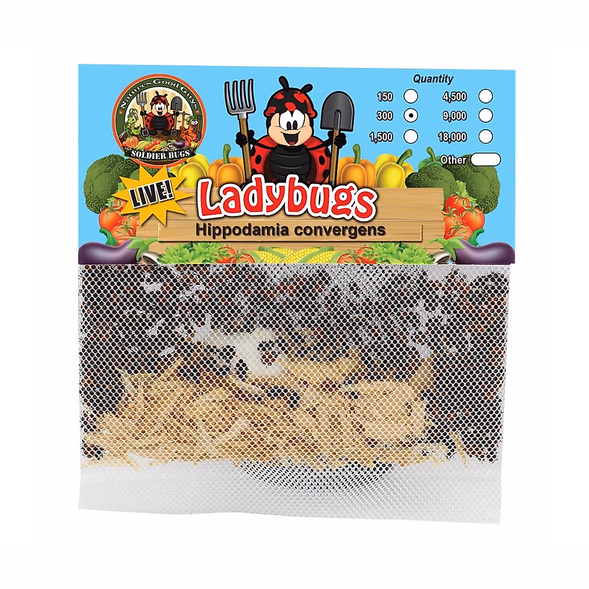 300 Live Ladybugs - Good Bugs - Ladybugs - Guaranteed Live Delivery!