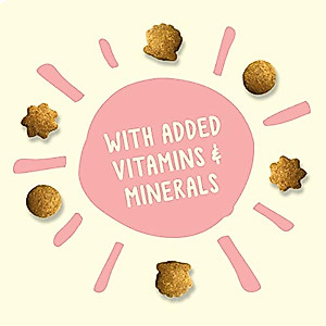 Purina Friskies Natural Cat Treats Party Mix Natural Yums With Real Salmon and Added Vitamins, Minerals and Nutrients - 20 oz. Canister