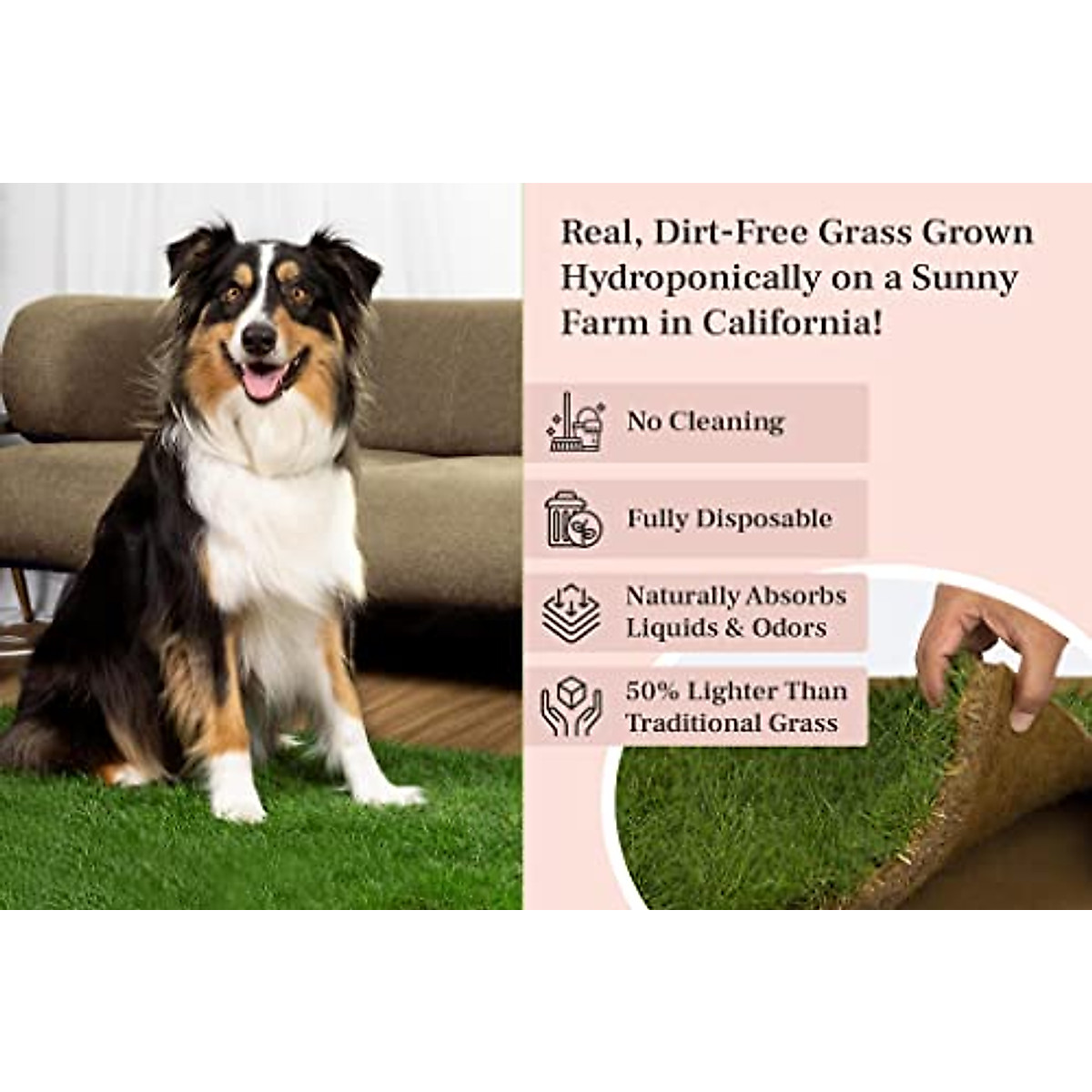 DoggieLawn Dog Potty - Real Grass - XLarge 24x48 inches