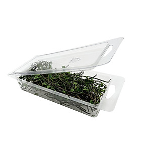 Woohome Model Scenery Leaf, 1 PCS Realistic Miniature Leaves Simulation Leaves with Tweezers for Train Landscape Railway Artificial Grass Modeling