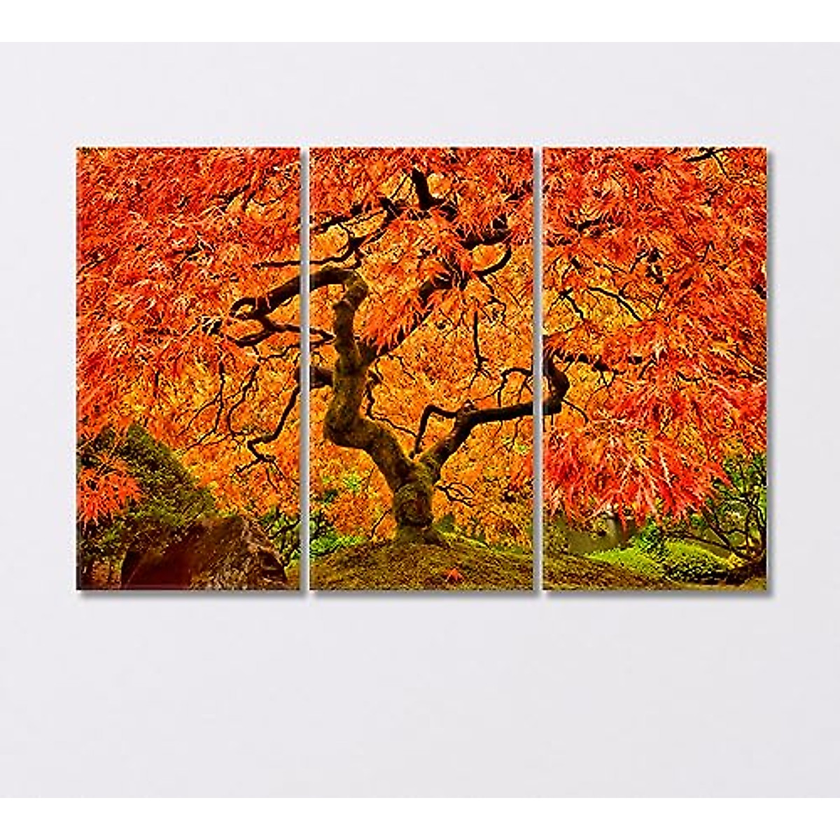 Japanese Maple in Autumn Canvas Print 5 Panels / 36x24 inches