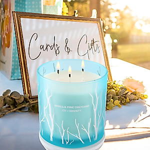 Vanilla Pine Apple Orchard Winter Candle - Natural Soy Pine Scented Candle 3 Wick - Christmas Fir Tree Holiday Scented Candle for Home 14.5 Oz - Large Relaxing Vanilla Candle Gift for Women & Men