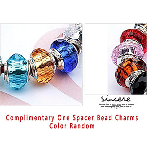 HappyStar 925 Sterling Silver Charms for Bracelets and Necklaces,Combination Dangle Pendants Beads Charms Jewelry Gift for Couples Sisters.（With Spacer Beads）