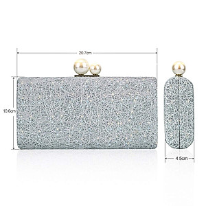 CHISHUNG Evening Handbag for Women Fashion Chain Bag Ladies Clutch Bag Evening Party Bag, Silver