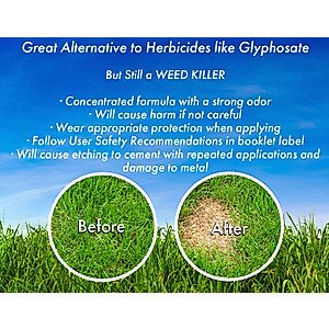 Energen Carolina LLC 579 Vinegar Weed & Grass Killer, Approved for Organic Production, Pet Safe, Glyphosate Free Herbicide, Quart, 1, Light Yellow