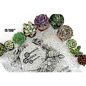 3 Gallon Bag Garden Pumice (3/16" Stone) 13lbs