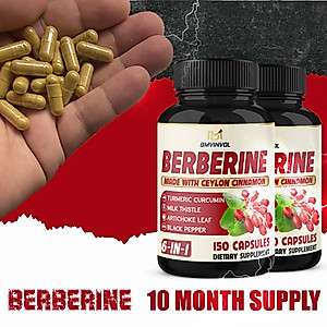 2 Pack Berberine HCl- Plus Ceylon Cinnamon, Turmeric, Milk Thistle, Artichoke, Black Pepper, Berberine HCI Root Supplements Pills - Immune System