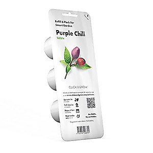 Click and Grow Smart Garden Purple Chili Plant Pods, 3-Pack
