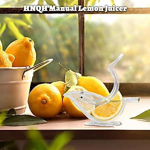 Manual Lemon Juicer, Acrylic Manual Lemon Slice Squeezer, Portable Transparent Fruit Juicer, Elegance Bird Shape, Hand Juicer for Orange Lemon Lime Pomegranate (2 Pack)