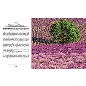 Trees (Gift Edition): Between Earth and Heaven