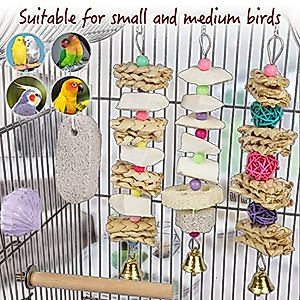 Parrot Chewing Toys (6 pcs) Natural Cuttlebone Bird Beak Trimmer Grinding Stone Lava Block Calcium Stone Bird Perch Cage Toys for Small and Medium Parakeets, Cockatiels, Conures, Budgies, Lovebirds
