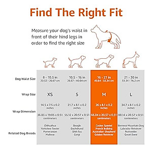 Amazon Basics Absorbent Male Dog Wrap, Leakproof, Disposable Diapers, Medium, Pack of 30, White