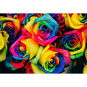 50+ Mixed Rose Flower Seeds Perennial Flowers Plants Garden