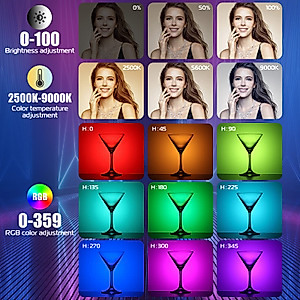 ULANZI 2 Pack Handheld Light Wand, 360° RGB LED Video Light for Photography, 2000mAh Rechargeable Light Stick for Video Shooting, 2500-9000K Dimmable Camera Light w LCD, Support Magnetic Attraction