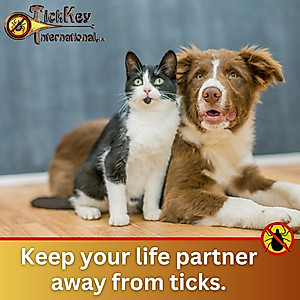 The Original Tick Key - Tick Detaching Device - Portable, Safe and Highly Effective Tick Detaching Tool (Green)