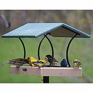 Birds Choice 18X12 Fly-Through Platform
