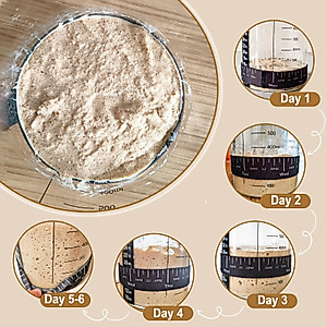 Sourdough Starter Jar Kit with 35 Oz/1000 ml Sourdough Bread Baking Supplies with Thermometer, Feeding Date Band, Silicone Scraper, Silicone Spoon Cloth Cover & Wood Lid, Wide Mouth Dough Starter Jar