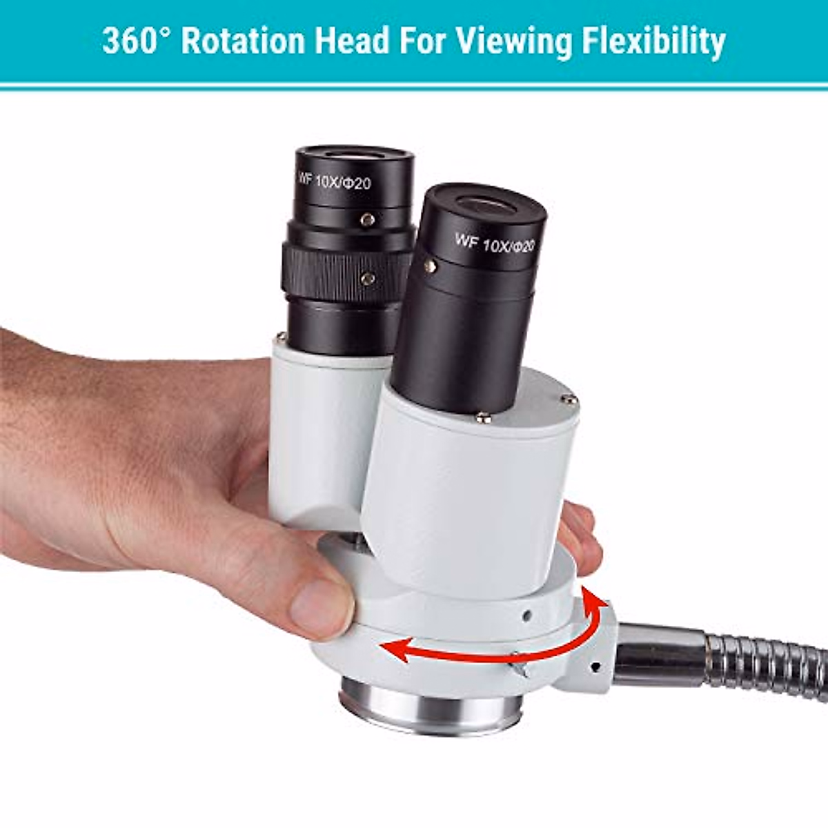 AmScope - 8X Magnification Binocular Stereo Microscope w/ 360 Revolve - Dental, Lab, Electronic Repair, Soldering, Shop Gooseneck Illuminator - SE508