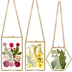 AVLA 3 Pack Pressed Flowers Glass Frames, Brass Hanging Picture Frames with Chain, Small Golden Floating Photo Frame, Clear DIY Artwork Display Frame for Wall Decor, Dried Plant Specimen