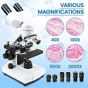 Crspexil Compound Binocular Microscopes 40X-2000X with 2.0 mp Camera, with Microscope Prepared Slides 30p,for Kids Students Adults,Microscope Accessories, Phone Adapter