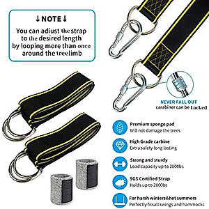 Tree Swing Hanging Straps Kit - Holds 2800 lbs (SGS Certified), 5ftx2 Hammock Straps with 2 Heavy Duty Locking Carabiners and 2 Tree Protectors, Polyester Straps Perfect for Tree Swings & Hammocks