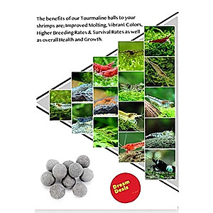 DreamDealsSG Tourmaline Balls for Freshwater Aquarium Tank. Mineral Supplement Substrate. Live Shrimp Food, Betta Fish Food, and Crayfish Food. Water Conditioner for Freshwater Shrimp etc.