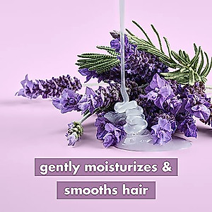 Love Beauty Planet Shampoo and Conditioner Set - Sulfate-Free Shampoo and Conditioner with Argan Oil & Lavender, Argan Oil Shampoo and Conditioner Set, Anti-Frizz Hair Products for Women, 13.5 Oz (2 Piece Set)