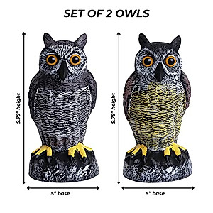 Galashield Owl Decoys to Scare Birds Away | Plastic Owls to Scare Birds Away | Owl Statue for Garden & Outdoors [Set of 2]