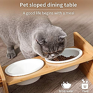 BINGBING Raised Pet Bowl for Cats and Small Dogs, Adjustable Elevated Dog Cat Food and Water Bowl Stand Feeder with Extra Stainless Steel Bowls (Small to Medium with 4 Bowls)