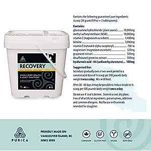 PURICA Equine Recovery Extra Strength (W/Ha) - 5kg/11 Lb