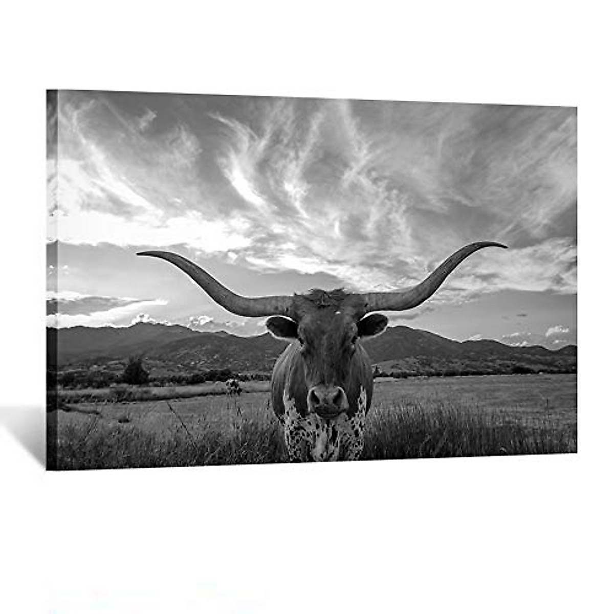Kreative Arts Black and White Animal Canvas Wall Art Highland Cattle with Long Horns Picture Texas Longhorn in Sunset Farm Painting for Home Decor Modern Living Room Decorations Ready to Hang 47x32inch