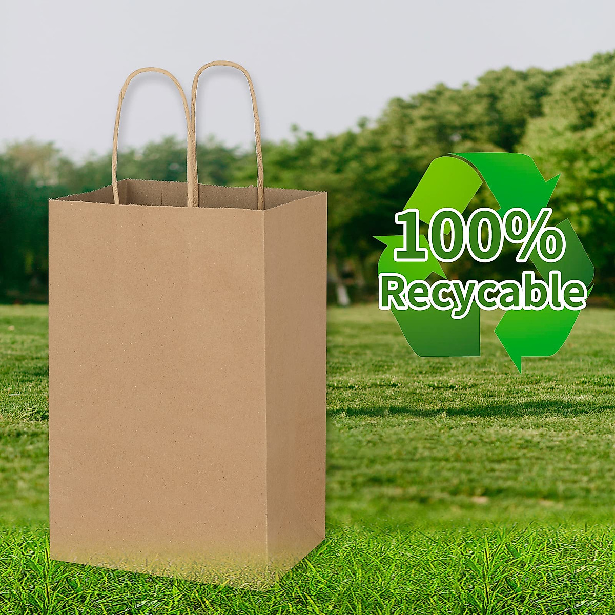 Toovip 50 Pack 5.25x3.25x8.25 Inch Small Plain Brown Kraft Paper Bags with Handles Bulk, Gift Bags for Favor Grocery Retail Party Birthday Shopping Business Goody Craft Merchandise Take Out Sacks