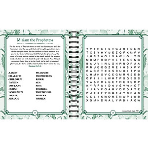 Brain Games - Large Print Bible Word Search: Women of the Bible (Brain Games - Bible)