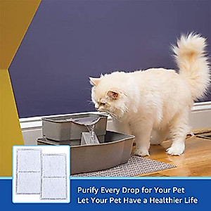 MyfatBOSS Charcoal Water Filter, Replacement Carbon Filters (2-Chamber) Dog and Cat Water Fountain Filters Compatible with Drinkwell Pet Fountain, 12 Filters
