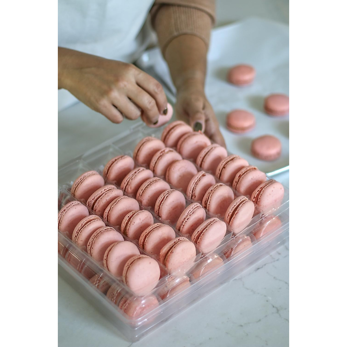 Vend Exchange Macaron Storage Freezer box - Large Storage Box with 2 Macaron Containers - Stores 70 Macarons