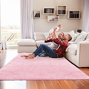 RUG BRANCH Super Soft Plain Plush Shag Pink Indoor Area Rug for Living Room, Bedroom, Dining Room, and Kitchen - 4' x 6' (4' X 5'3")