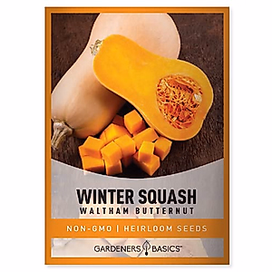 Butternut Squash Seeds for Planting - Waltham Heirloom Non-GMO Winter Storage Vegetable Plant for Home Garden Vegetables Makes a Great Gift for Gardening by Gardeners Basics