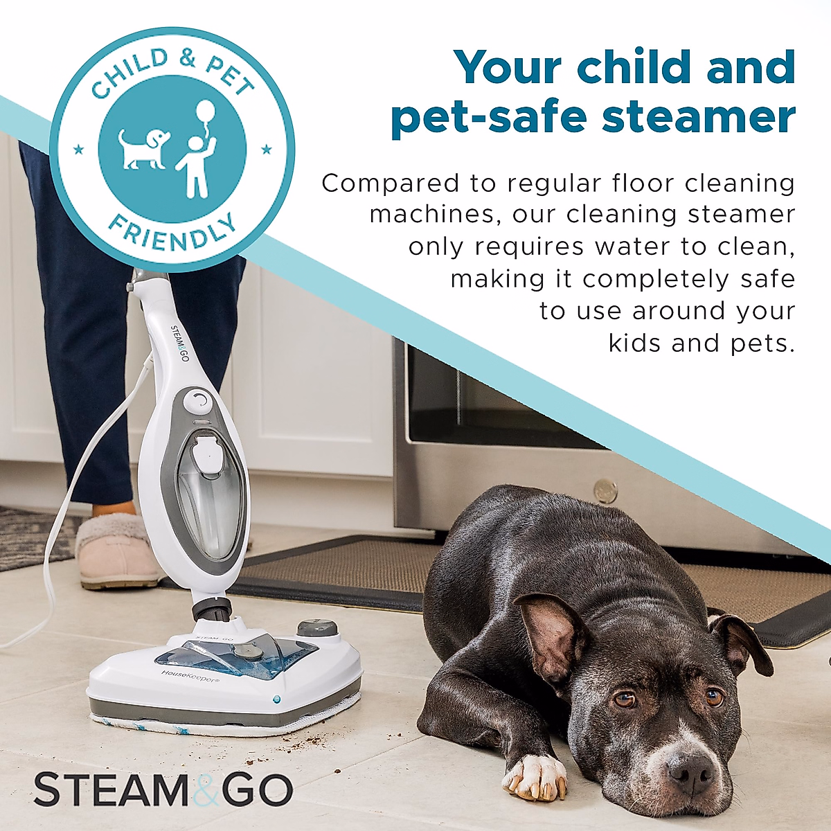 Steam and Go 10-in-1 Steam Mop - Floor Steamer with Detergent Chamber and Detachable Handle for Tile Grout, Clothes, Furniture, Hardwood, Upholstery, & Carpet, Handheld Steam Cleaner for Home Use