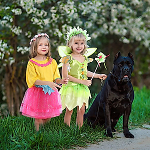 Teuevayl Little Girl Dress up Trunk Set, 20PCS Girls Pretend Play Princess Role Play Costumes Set, Singer, Princess, Fairy Costume for Girl Ages 3-7